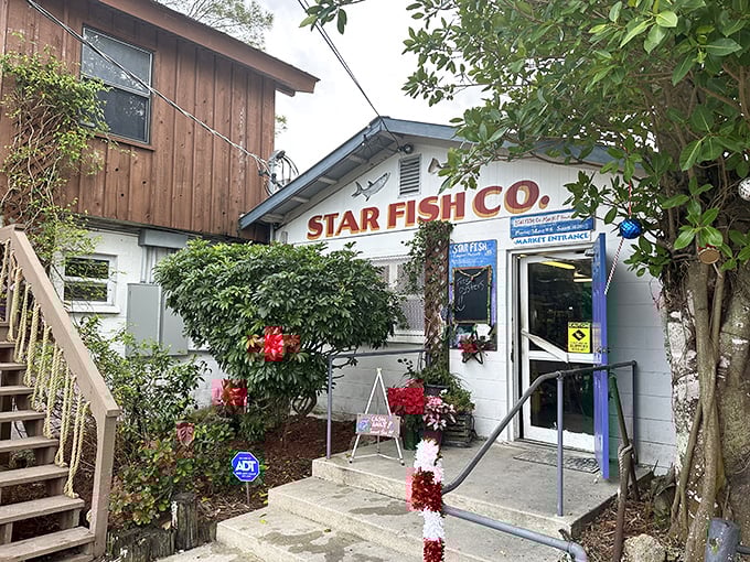 Where pelicans provide the entertainment and mullet gets the respect it deserves. Star Fish is Florida's seafood soul in building form.