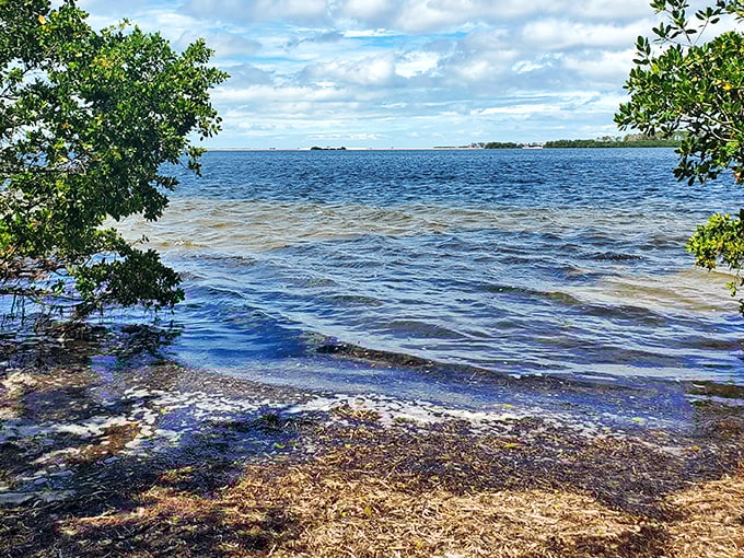 Those waves are just begging you to sit down, forget your troubles, and watch the Gulf do its thing.