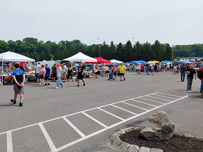 Early morning shoppers navigate Trader Jack's with purpose, knowing the best treasures disappear faster than donuts at a police convention.