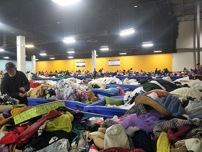 A kaleidoscope of possibilities spread across blue seas of opportunity. Each bin rotation brings fresh potential for that perfect find.