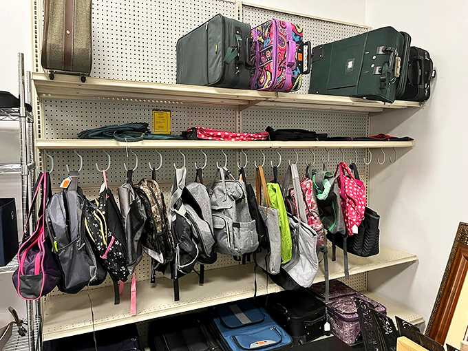 Bag boulevard offers carrying solutions for every occasion, from "just the essentials" to "might be moving in" capacity.