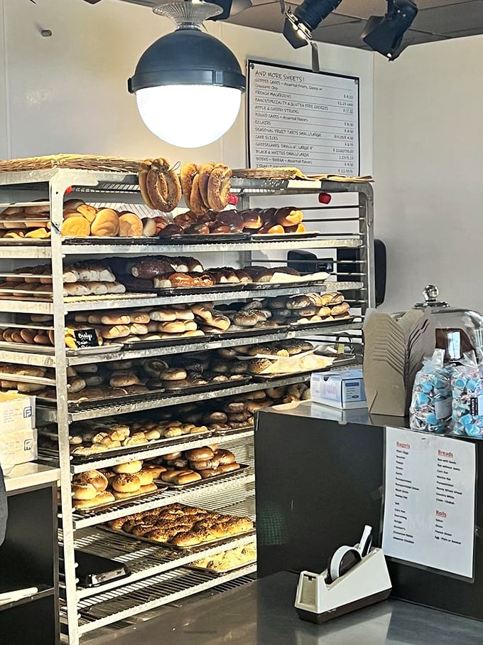 Bagel racks that could make a carb-counter weep with desire. Each ring of dough represents decades of baking tradition and morning happiness.