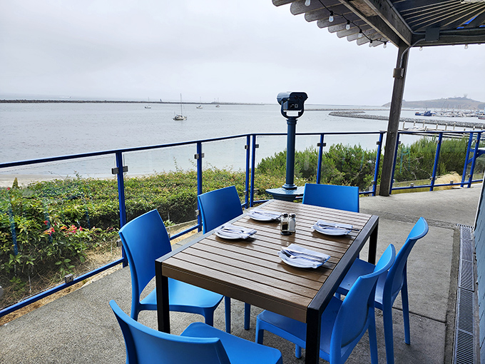 Ocean-view dining that makes you wonder why you ever eat indoors. Those blue chairs match the horizon on a perfect California day.