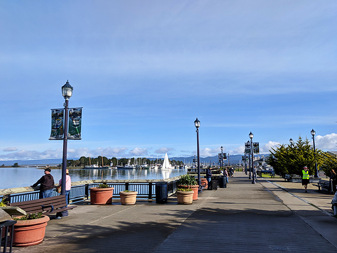 Eureka's waterfront promenade offers the kind of peaceful bay views that make you question why you ever lived anywhere else. 
