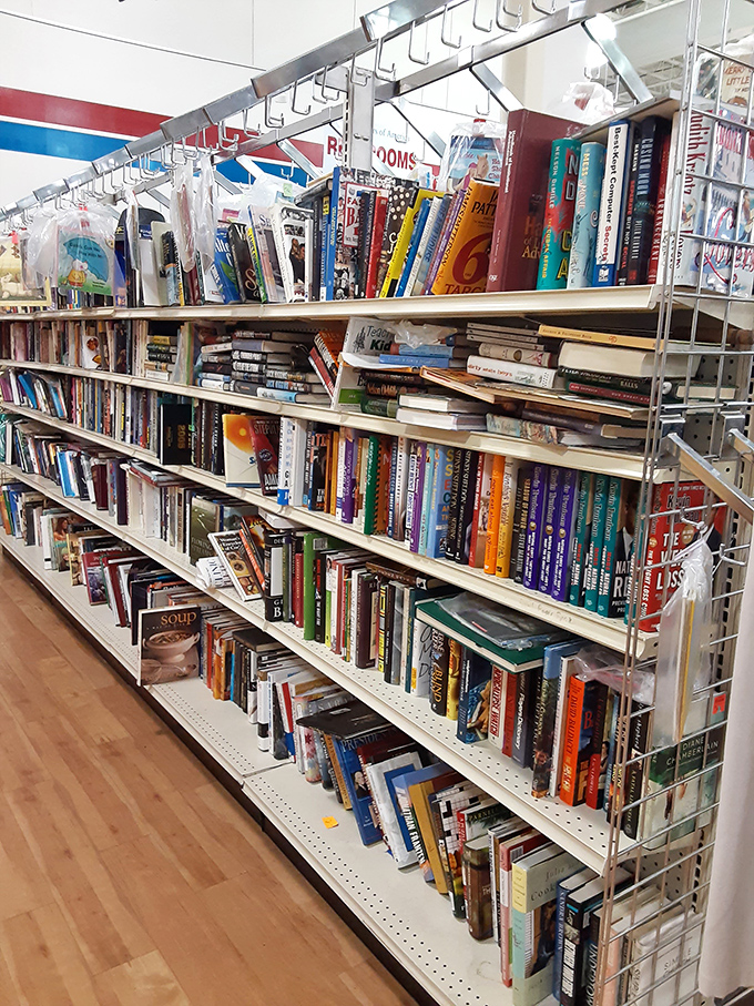 Bibliophile's bonanza! Enough reading material to survive both a long winter and the inevitable zombie apocalypse.