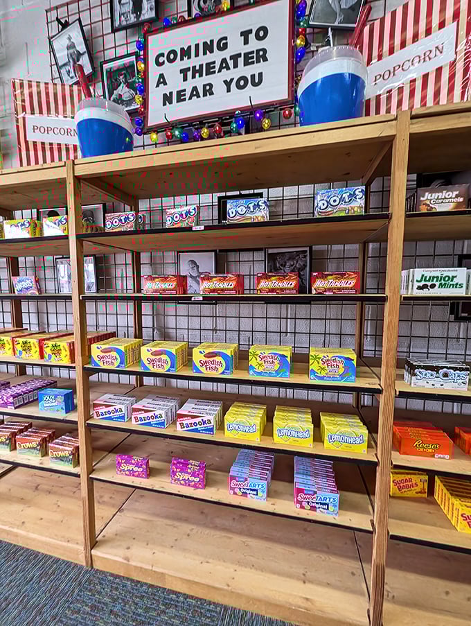 The movie theater candy section &ndash; where Junior Mints and Milk Duds remind us that film appreciation has always been a multi-sensory experience.