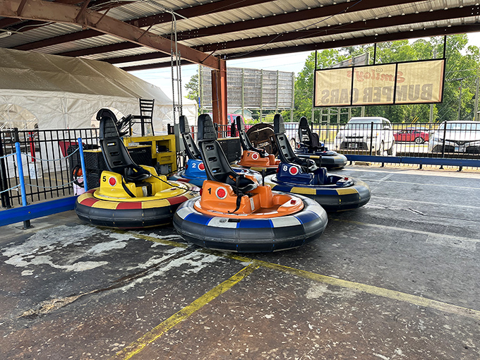 Bumper cars waiting for their next riders. Because nothing says "I've successfully haggled" like celebrating with a victory lap.