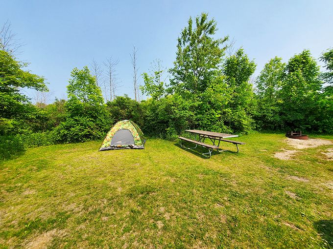 Camping simplified: one tent, one picnic table, and a million stars overhead. No luxury suite can compete with this level of peace.