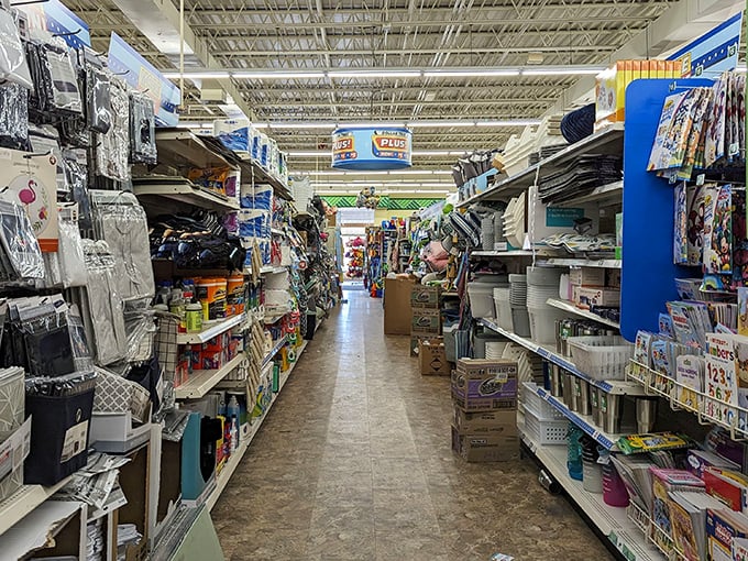 Organization heaven where household essentials stand at attention like soldiers ready to tackle Michigan's most cluttered homes. 