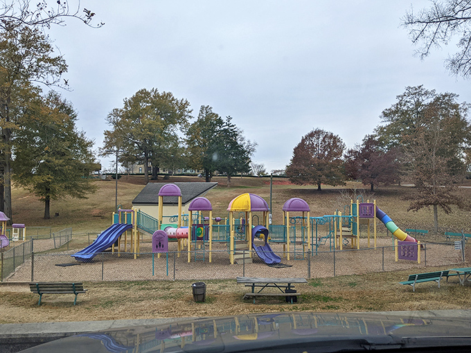 Central City Park's playground promises childhood joy in purple and yellow, where parents can momentarily pretend they remember how to use a slide.
