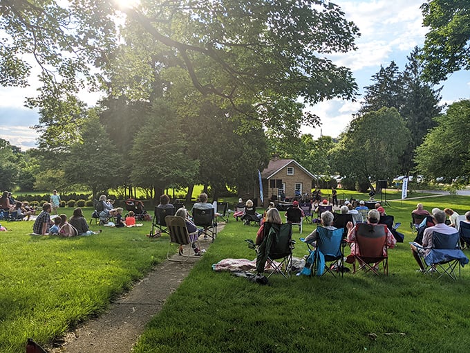 Summer concerts in the park: where lawn chairs become thrones and everyone's invited to the most democratic music venue around.