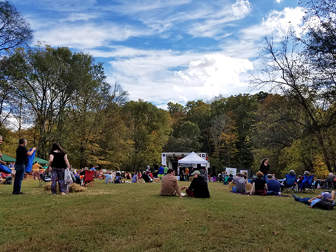 Outdoor concerts transform ordinary fields into magical gathering spots where locals spread blankets, uncork wine, and sway to live music under open skies.