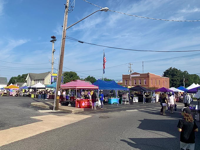 Community events in Harrington aren't just activities—they're the social fabric that transforms neighbors into friends and stretches Social Security dollars through shared experiences.