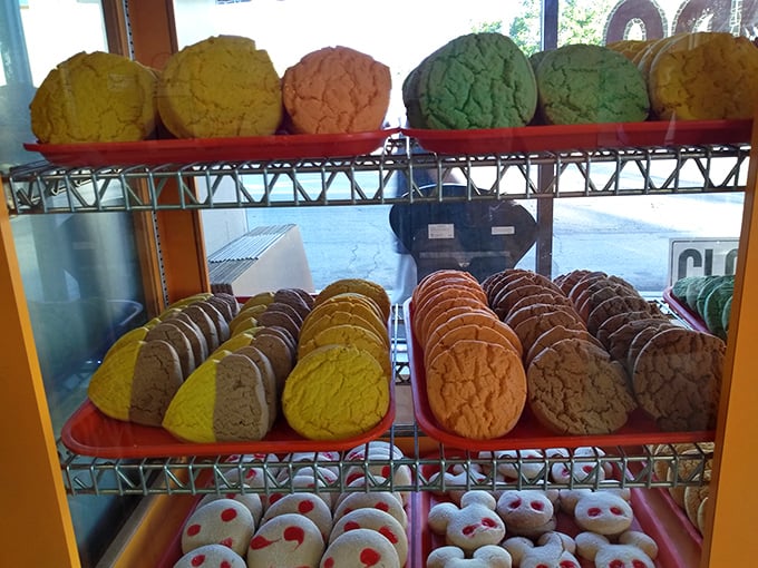 The rainbow of pan dulce possibilities. Like edible Pantone color swatches, each one promising a different sweet journey.