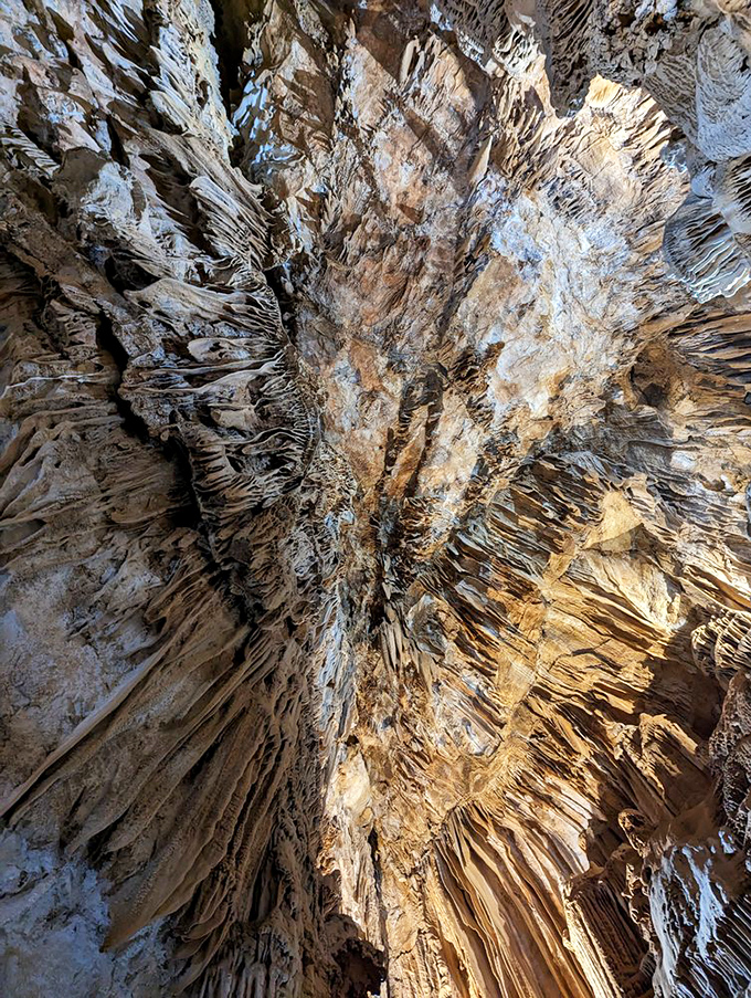 Looking up at this ceiling is like gazing at the world's slowest fireworks display. These crystalline explosions have been developing for longer than human civilization.
