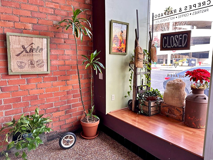 Exposed brick, potted plants, and vintage touches create the perfect backdrop for your sugar-fueled adventures.