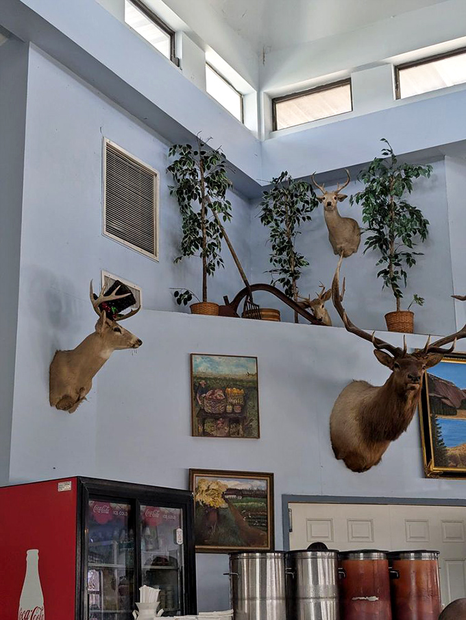 Mounted deer heads and landscape paintings create an atmosphere that says, "We've been here awhile, and we know what we're doing."