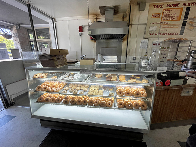 Donut display case&mdash;the adult version of pressing your nose against a toy store window.