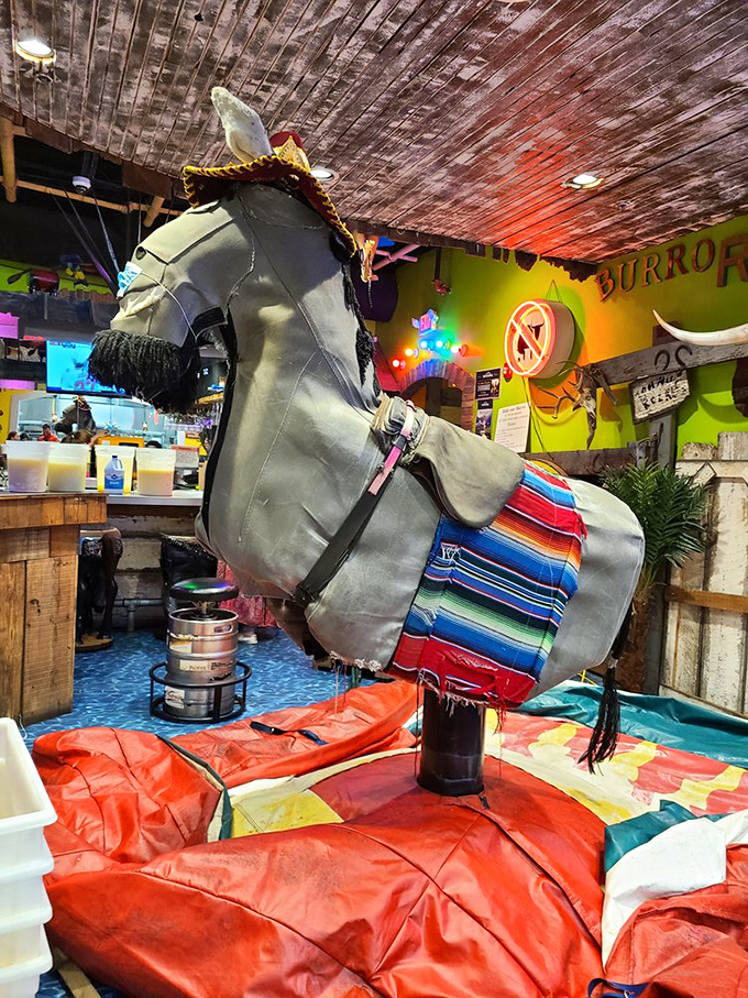 Meet the most famous burro in Tennessee &ndash; a mechanical marvel that separates the brave from the bashful after a couple rounds of tequila.