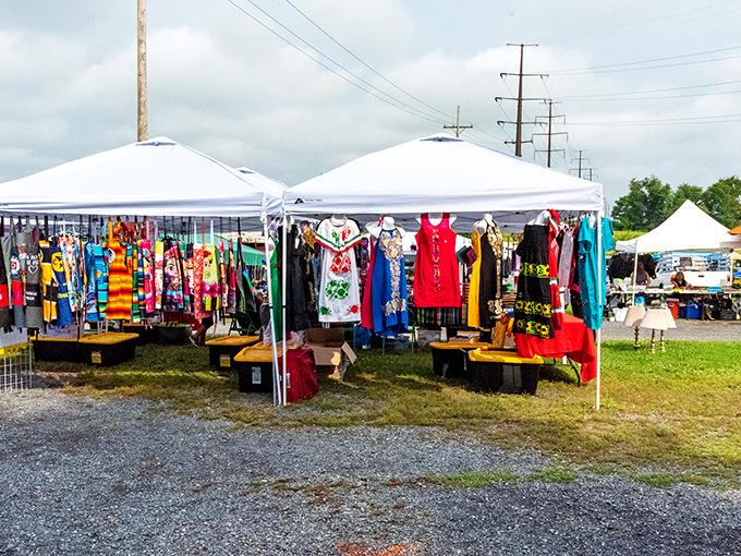 A rainbow explosion of fabrics dances in the breeze. These vibrant dresses whisper promises of summer adventures and spontaneous road trips through the Shenandoah.