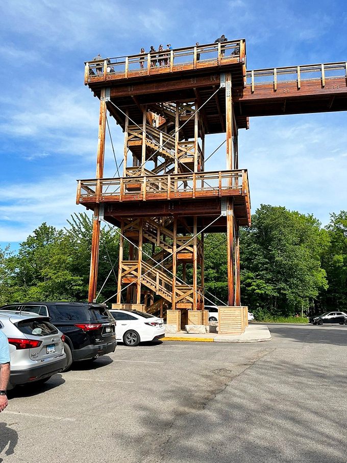 Eagle Tower offers panoramic views for the effort of climbing its wooden stairs. The closest thing to flight without leaving the ground.