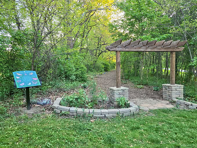 Gateway to tranquility. This pergola marks the entrance to a garden path where butterflies and humans find common ground in nature's embrace.