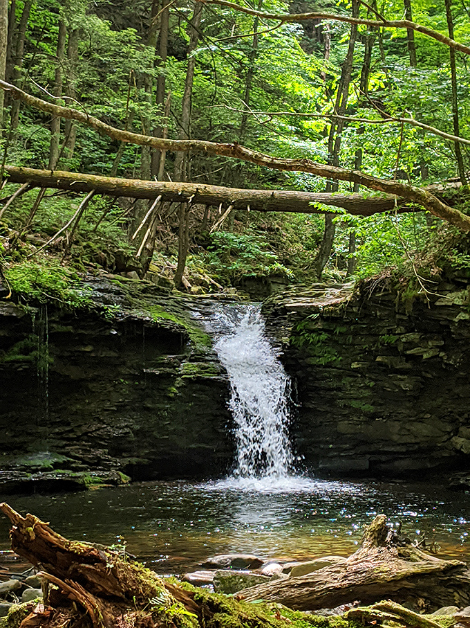 This modest waterfall delivers the soundtrack to your forest bathing experience. Nature's white noise machine comes with complimentary rainbow mist on sunny days.
