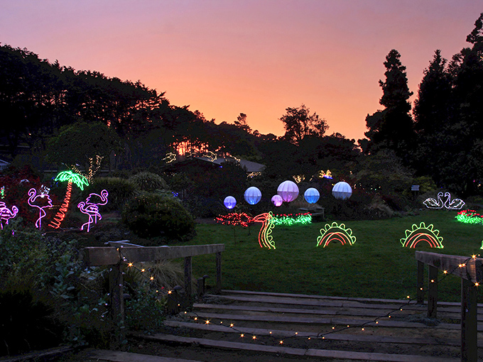 Festival of Lights transforms gardens into a neon wonderland where flamingos glow and imagination runs wild after dark.