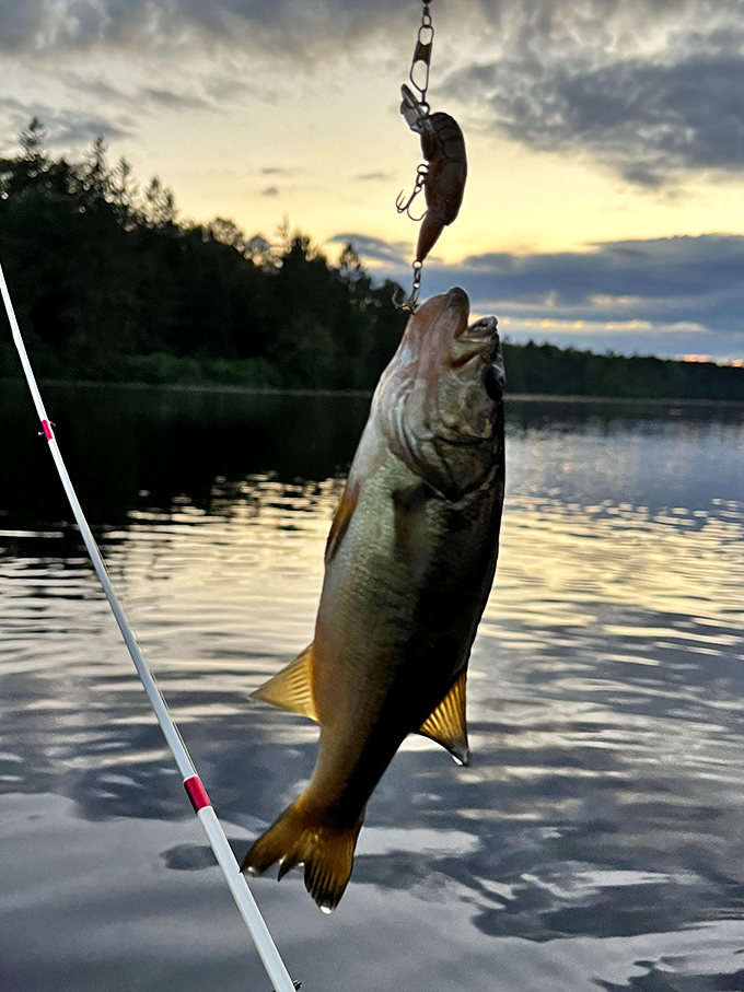 Dinner and a sunset&mdash;nature's perfect date night. This bass clearly fell for the oldest line in the book.