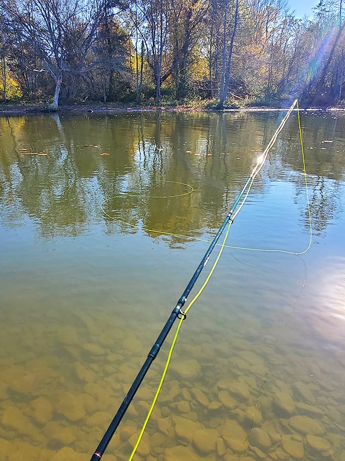 Fishing in crystal clear waters where you can actually see what you're not catching. Patience finds its perfect testing ground.