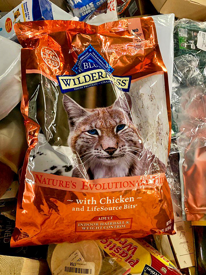 Even your feline friends get Bintime benefits! This premium cat food proves bargain hunting isn't just a human sport.