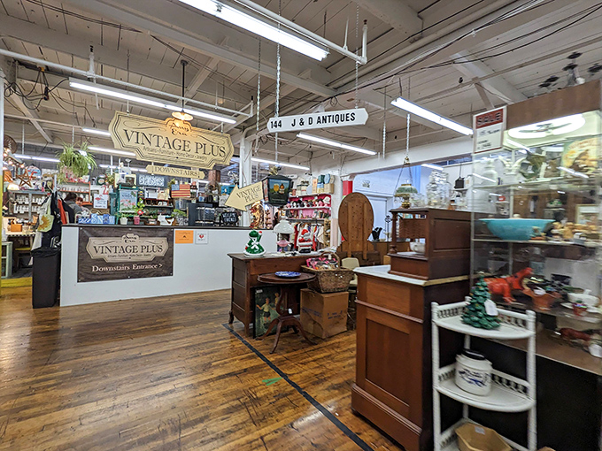 "Vintage Plus" indeed&mdash;where vendor booths become personal museums, each with its own curator and distinctive personality.