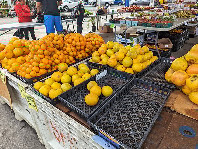Florida's citrus bounty creates mountains of sunshine you can actually take home&mdash;no Florida flea market is complete without fresh produce. 