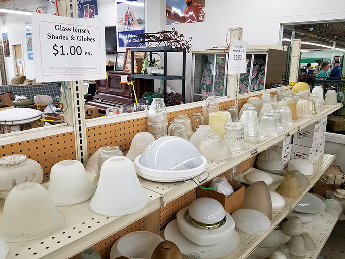 
Light bulb moment! For just a buck each, these glass shades could be the beginning of your next brilliant upcycling project or the perfect replacement for that broken fixture