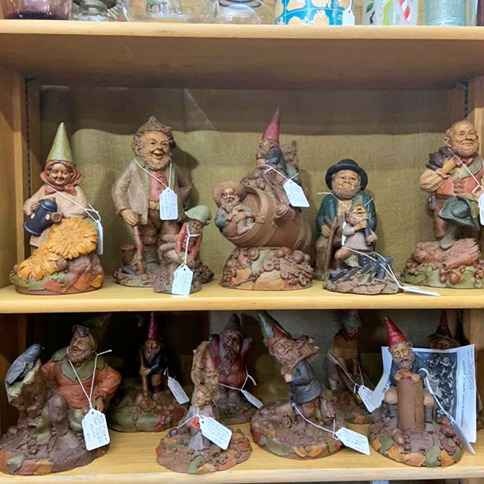 Garden gnomes with attitude – these aren't your average lawn ornaments but characters with stories etched into their weathered expressions.