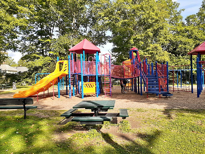 This playground offers kids what modern childhoods often lack – actual physical activity without a charging port or screen in sight.