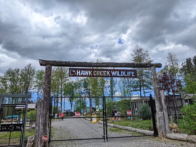Hawk Creek's rustic entrance promises wild encounters of the educational kind &ndash; no passport required for this animal adventure.