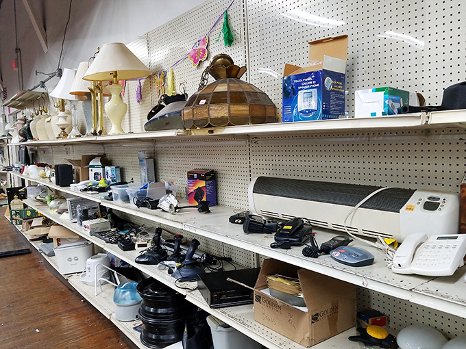 From vintage lamps to practical appliances, these shelves hold the building blocks of home at prices that won't break the bank.