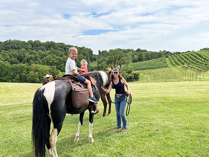 Horseback riding with vineyard views? Now that's what I call a perfect pairing. This is how memories are made in wine country.