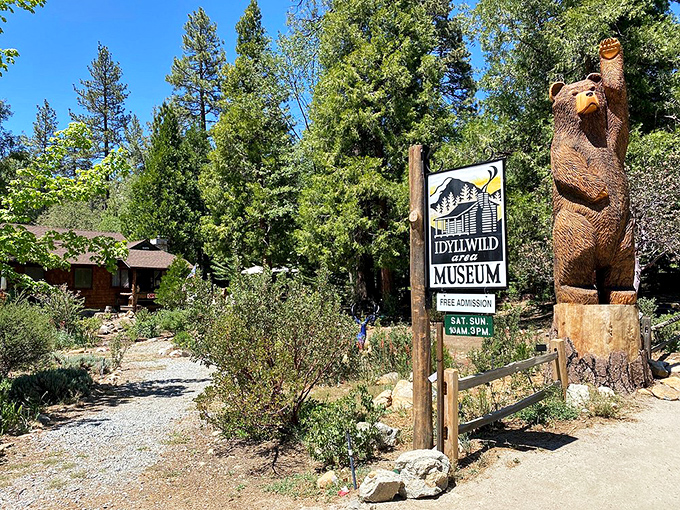 The Idyllwild Museum, guarded by a wooden bear who's seen more tourists than a Hollywood star map vendor on Sunset Boulevard.