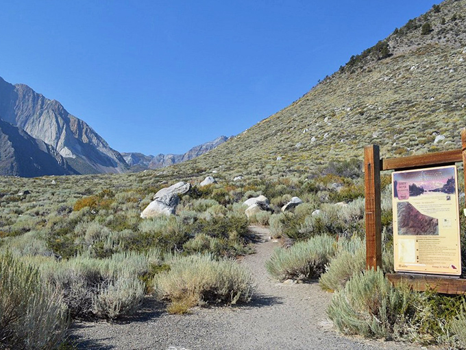 Trailhead knowledge: Every great adventure begins with a map and a moment of anticipation, with Sierra peaks promising unforgettable vistas ahead.