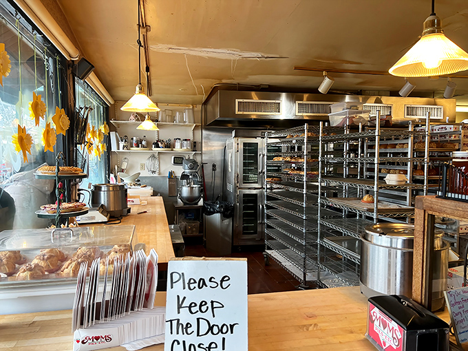 The kitchen &ndash; hallowed ground where apple alchemy transforms ordinary fruit into extraordinary desserts that haunt your dreams.