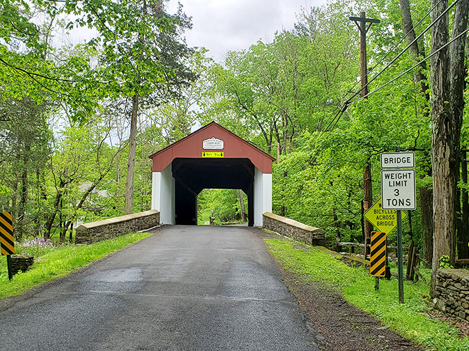 Spring's emerald canopy creates a natural gateway to the bridge. Even the trees seem to be saying, "Come on in, the history's fine!" 