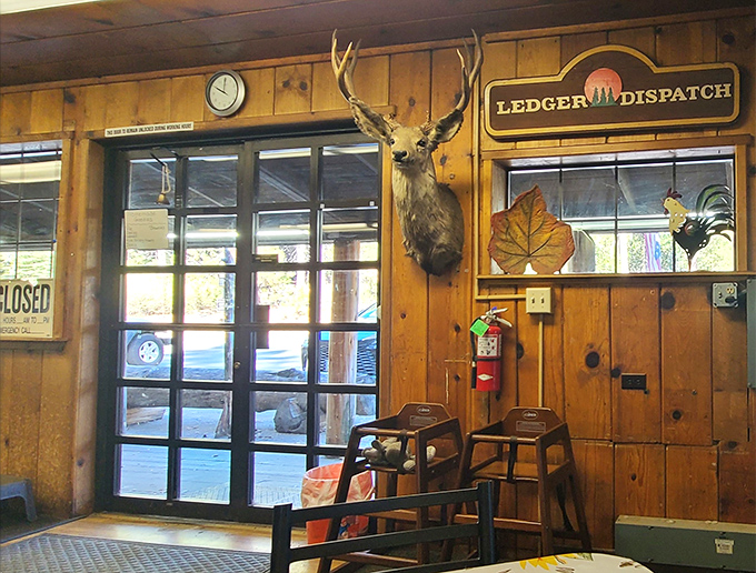 Where wilderness meets nostalgia. The entrance feels like stepping into a time capsule where good food matters more than cell service.