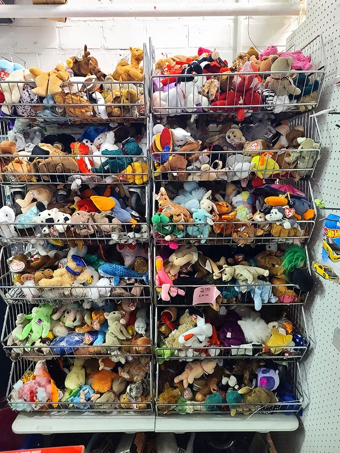 Stuffed animal adoption center! These plush personalities wait patiently in their wire baskets, hoping today's the day they'll find their forever home.