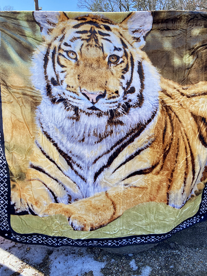The king of the jungle on display. This tiger blanket promises both warmth and a conversation starter for any living room