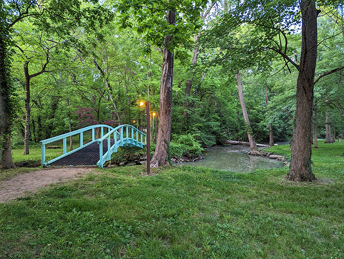 This tranquil footbridge invites you to cross over to a simpler way of being, where nature sets the pace instead of your smartphone notifications.
