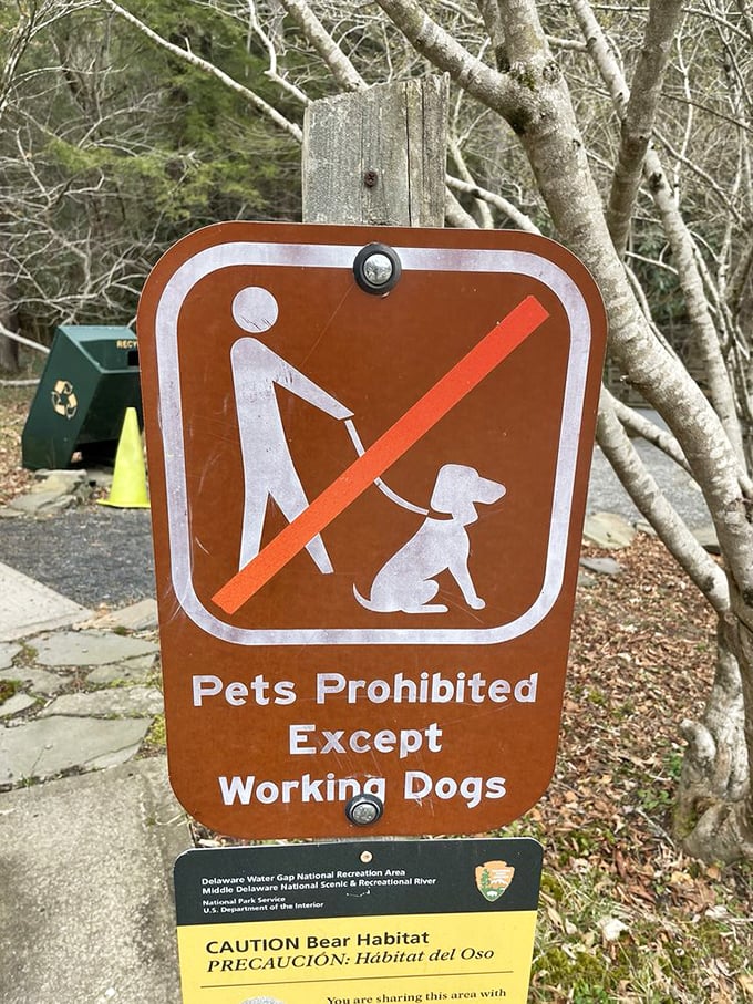 Clear signage ensures this natural sanctuary remains protected while welcoming responsible outdoor enthusiasts.