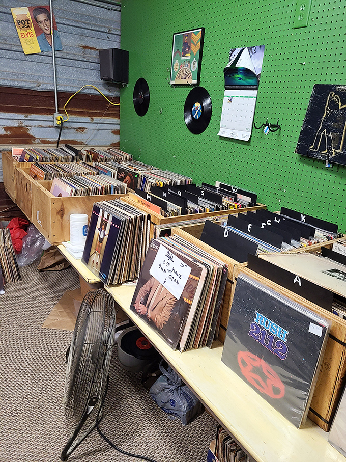 Vinyl revival central! Crate-diggers paradise where forgotten albums find new turntables and musical memories are just a flip through the bins away.