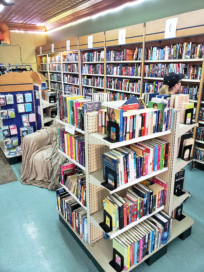 Bookstores like this are endangered treasures &ndash; shelves packed with possibilities and that irreplaceable scent of paper and possibility.